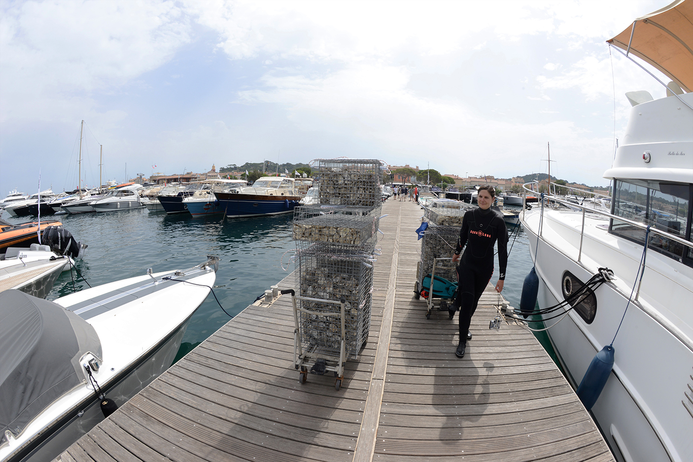 Biohut Saint-Tropez - Port de Saint-Tropez