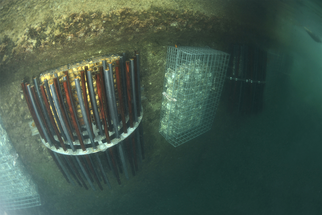 Biohut Saint-Tropez - Port de Saint-Tropez