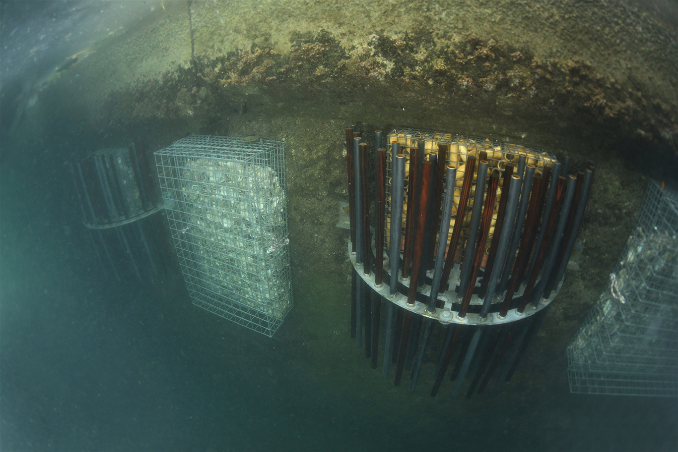 Biohut Saint-Tropez - Port de Saint-Tropez